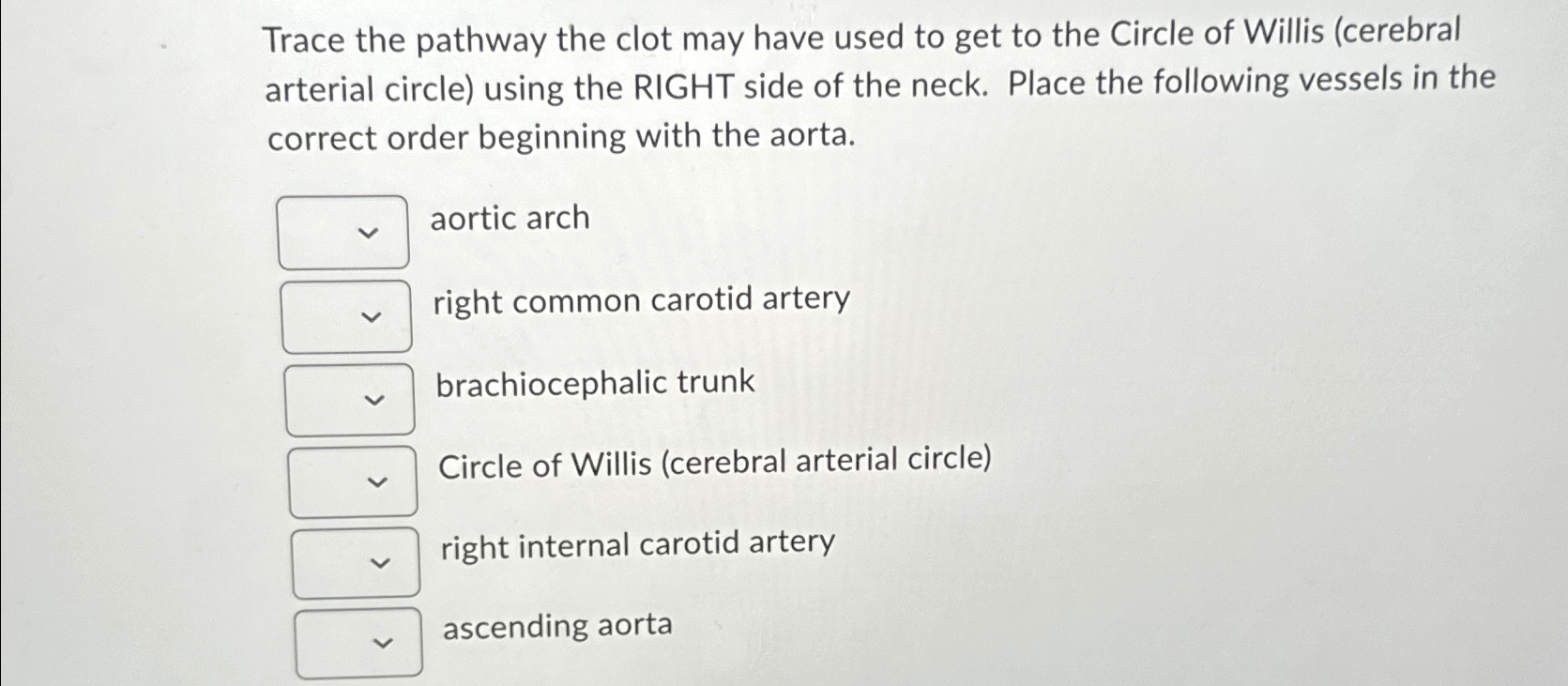 Solved Trace the pathway the clot may have used to get to | Chegg.com