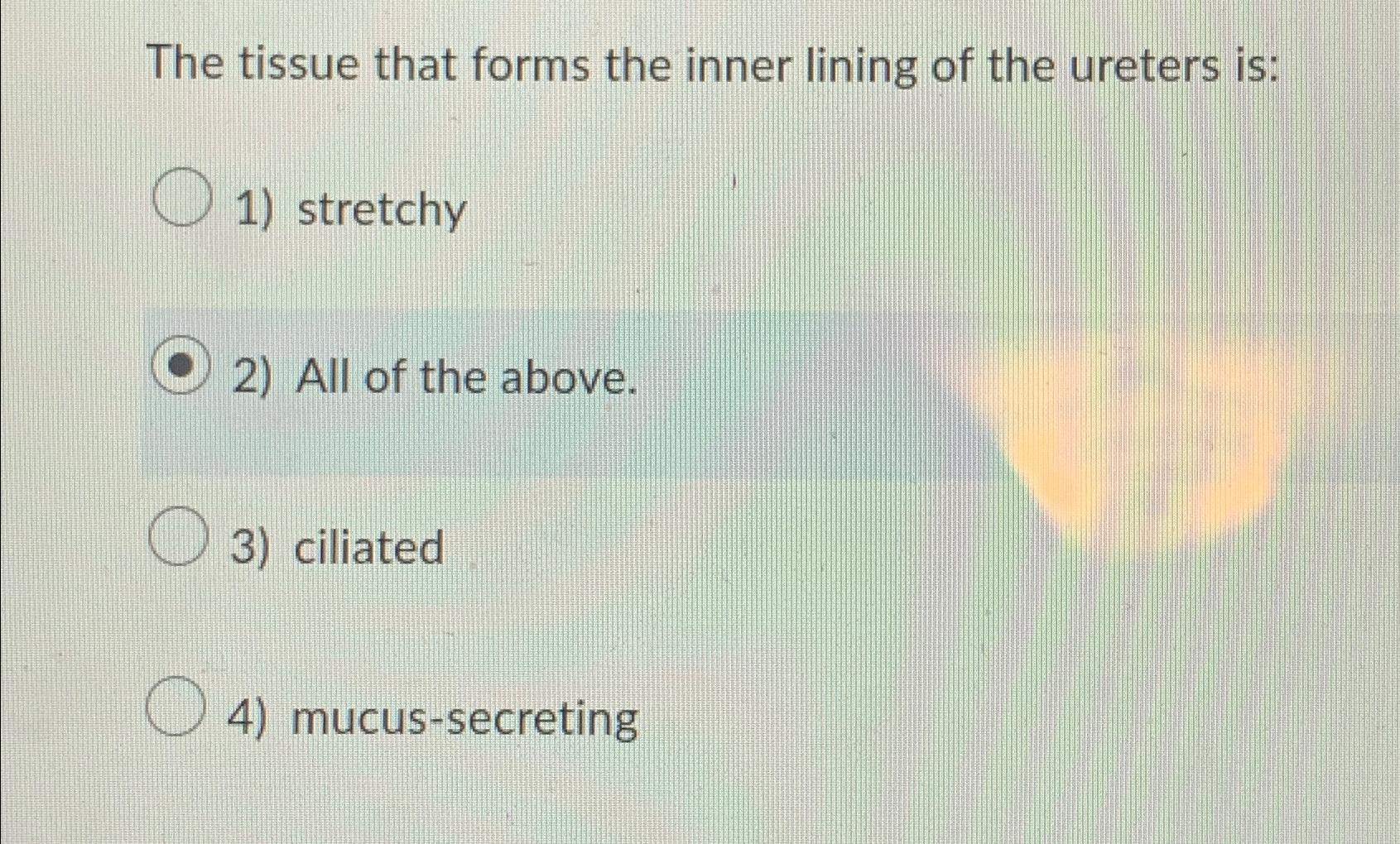 Solved The tissue that forms the inner lining of the ureters | Chegg.com