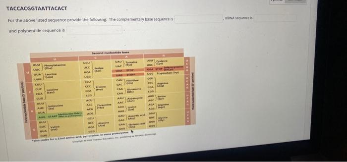 Solved for the above listed sequence procide the following: | Chegg.com