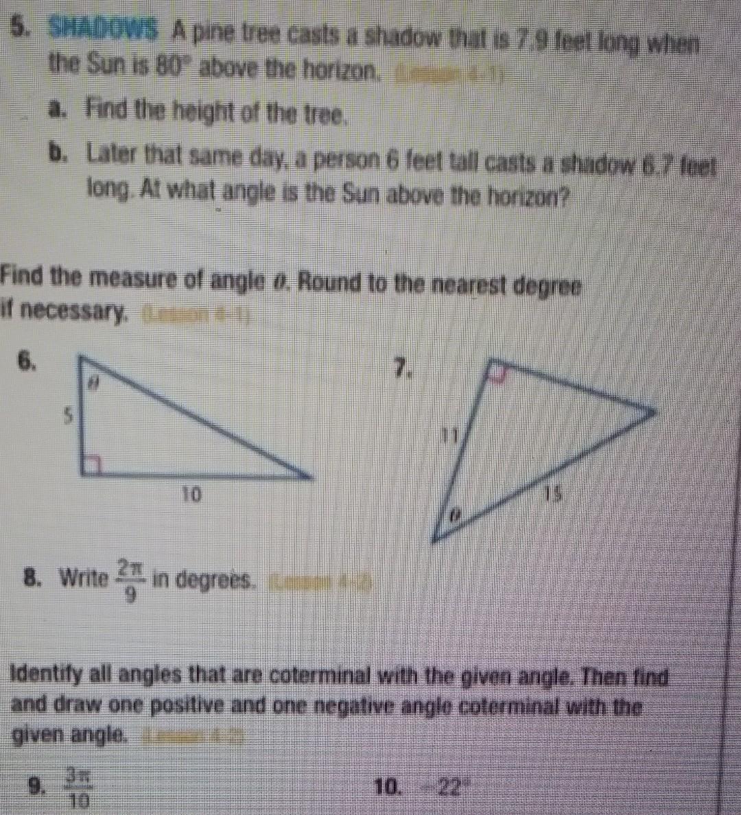 Solved 5. SHADOWS A pine tree casts a shadow that is 79 feet | Chegg.com
