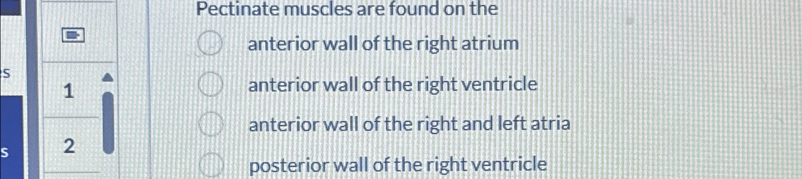 Solved Pectinate muscles are found on theanterior wall of | Chegg.com