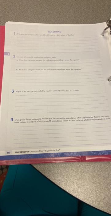 questions | Chegg.com