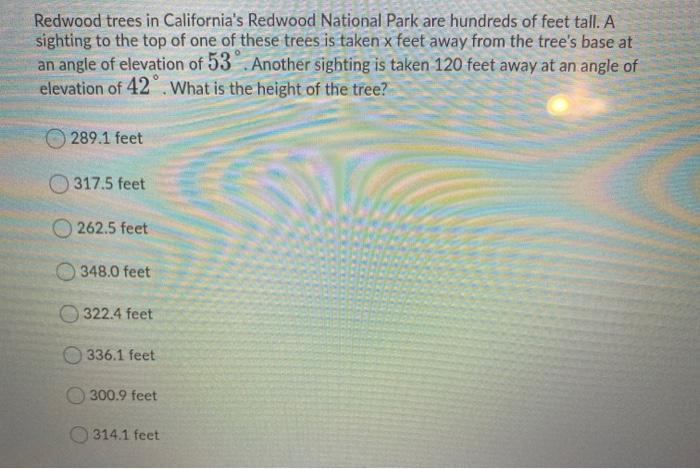 Solved Redwood trees in California's Redwood National Park | Chegg.com