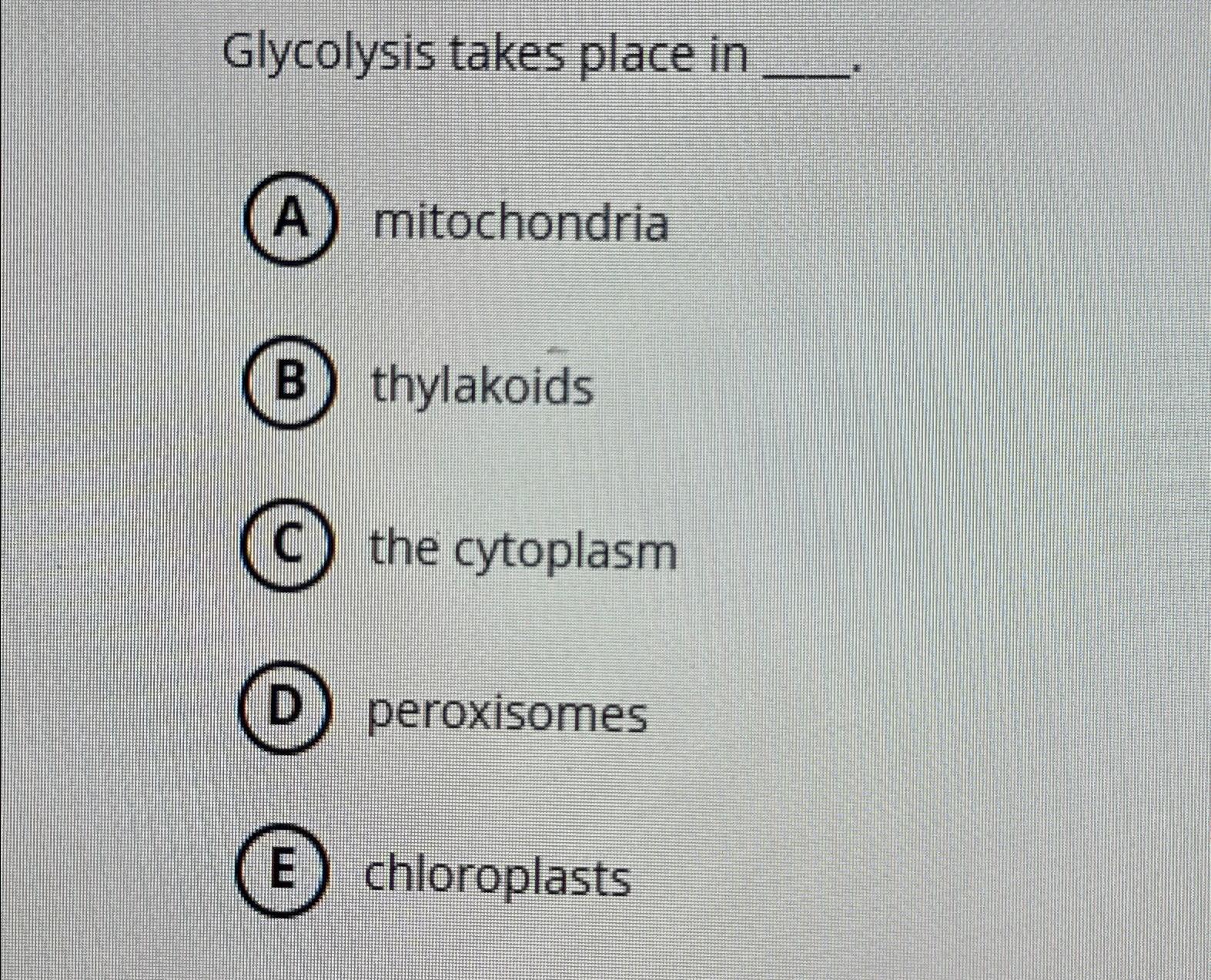Solved Glycolysis takes place inA mitochondria(B) | Chegg.com