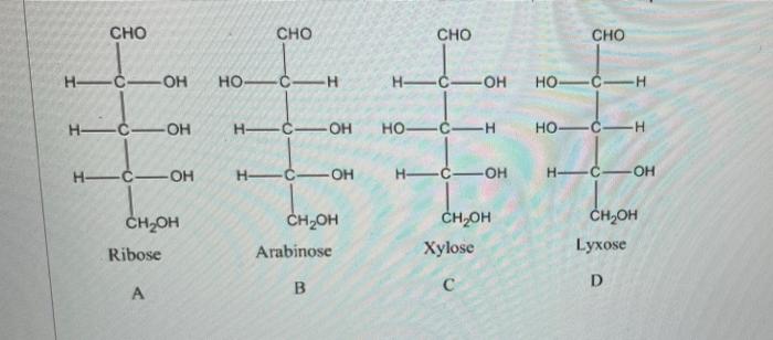 Solved are any of the structures epimers with ribose ? | Chegg.com
