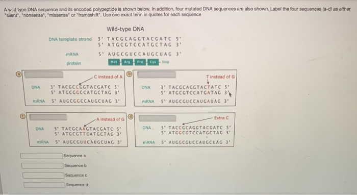 Solved The following drawing represents simultaneous | Chegg.com