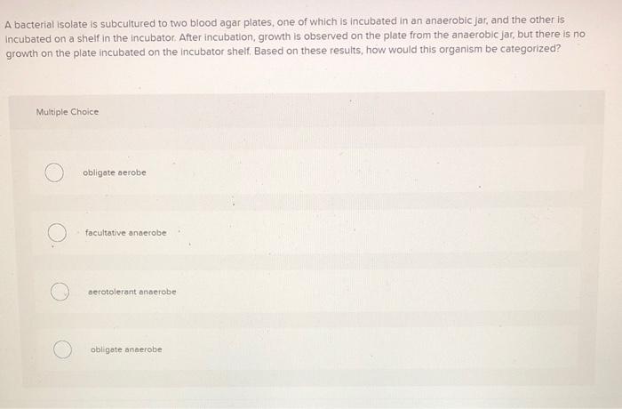 Solved A bacterial isolate is subcultured to two blood agar | Chegg.com