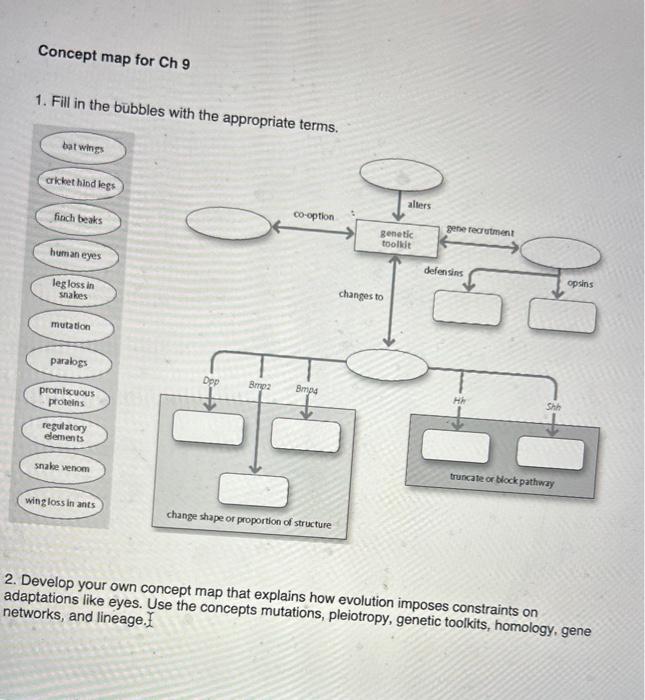 Solved 2. Develop your own concept map that explains how | Chegg.com