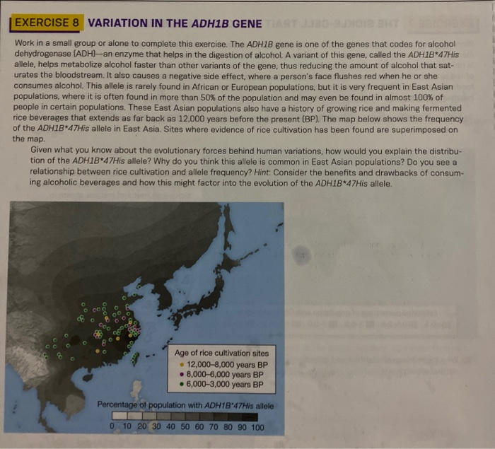 Solved EXERCISE 8 VARIATION IN THE ADH1B GENE Work in a | Chegg.com