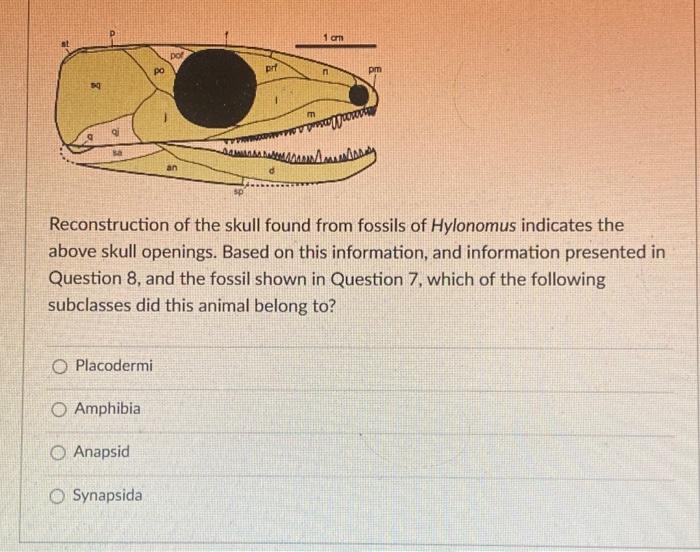 Solved Hrompus hyall, macilia and centary = 8 The above | Chegg.com