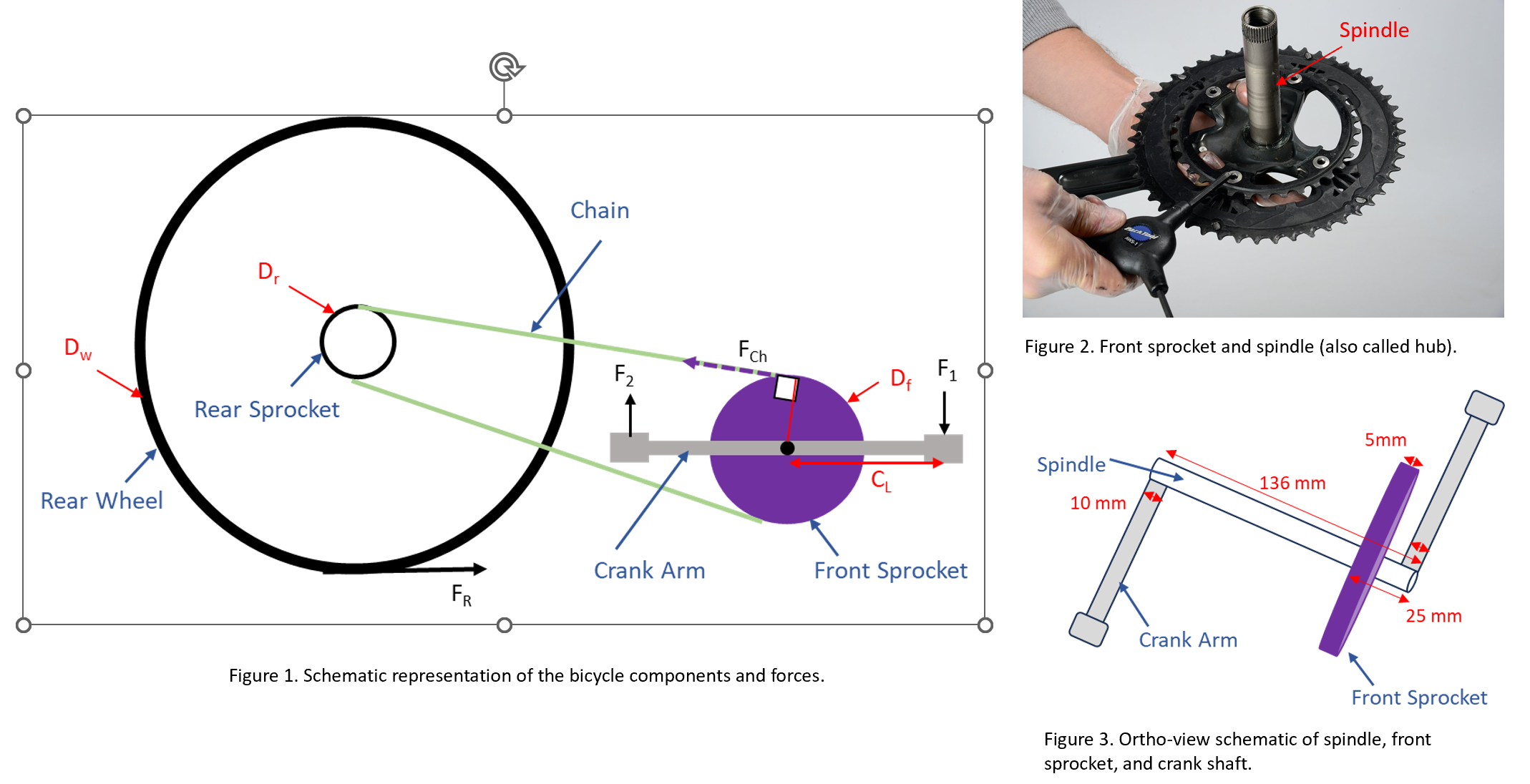 Forward propulsion on a bicycle is provided by the | Chegg.com