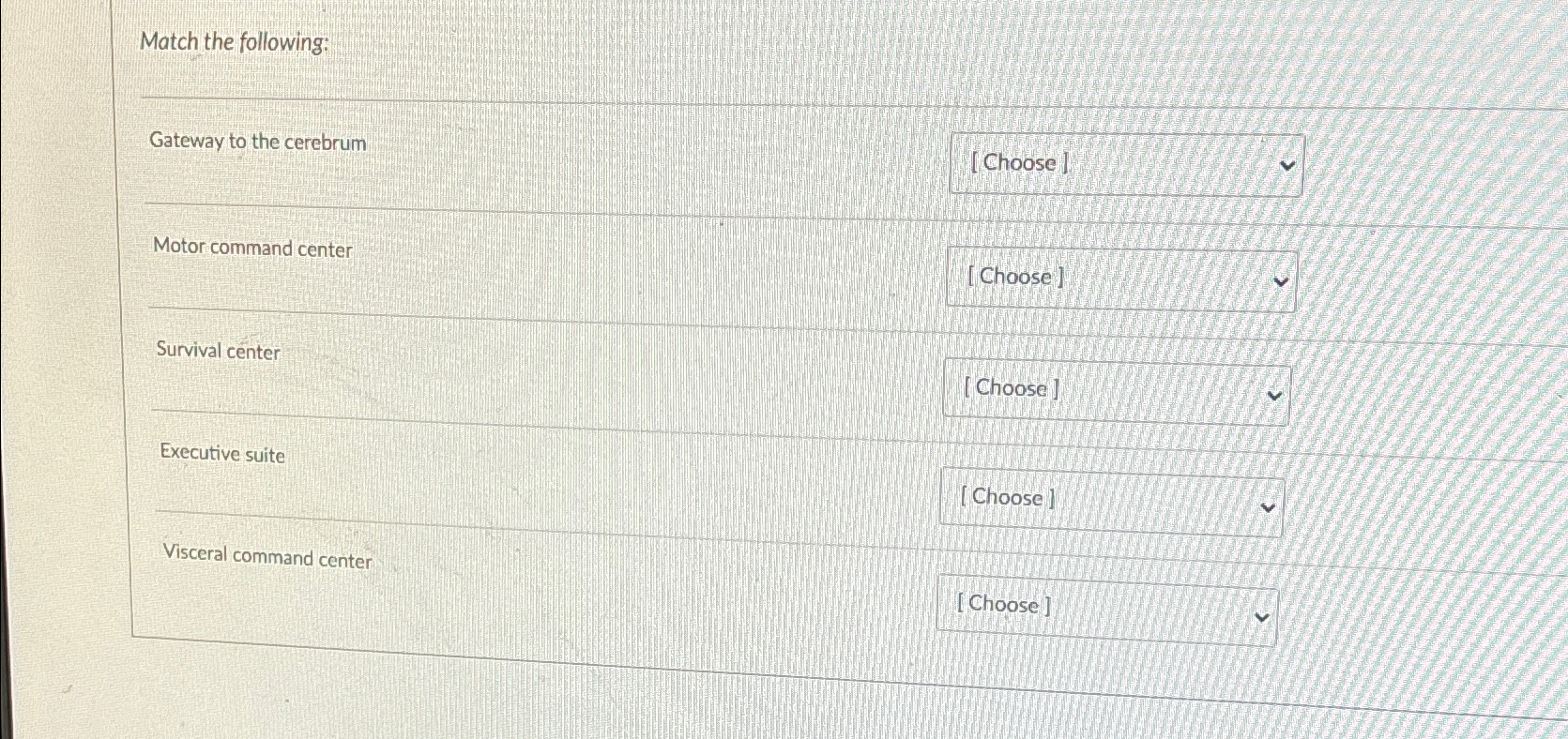 Solved Match the following:Gateway to the cerebrumMotor | Chegg.com