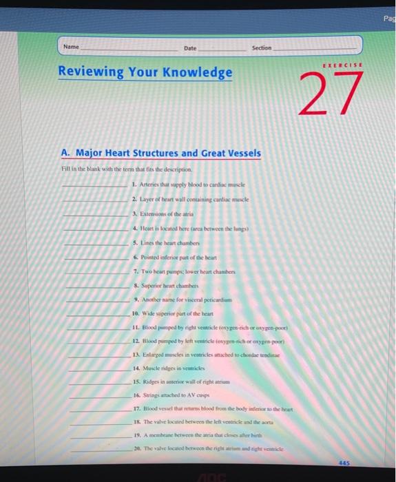 Solved Pag Name Date Section EXERCISE Reviewing Your | Chegg.com