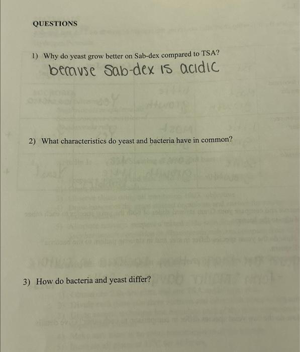 Solved QUESTIONS 1) Why do yeast grow better on Sab-dex | Chegg.com