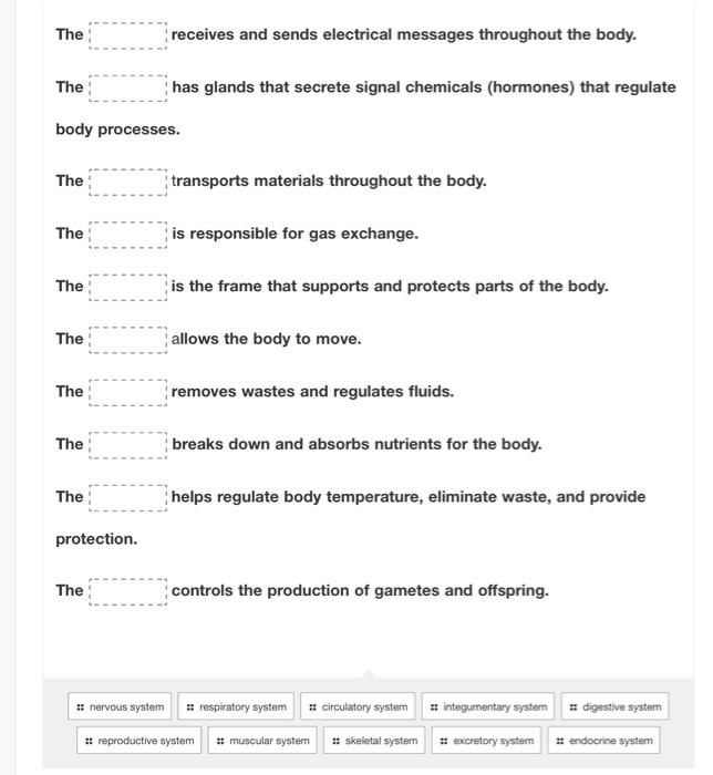 Solved The The body processes. The The The The The The The | Chegg.com