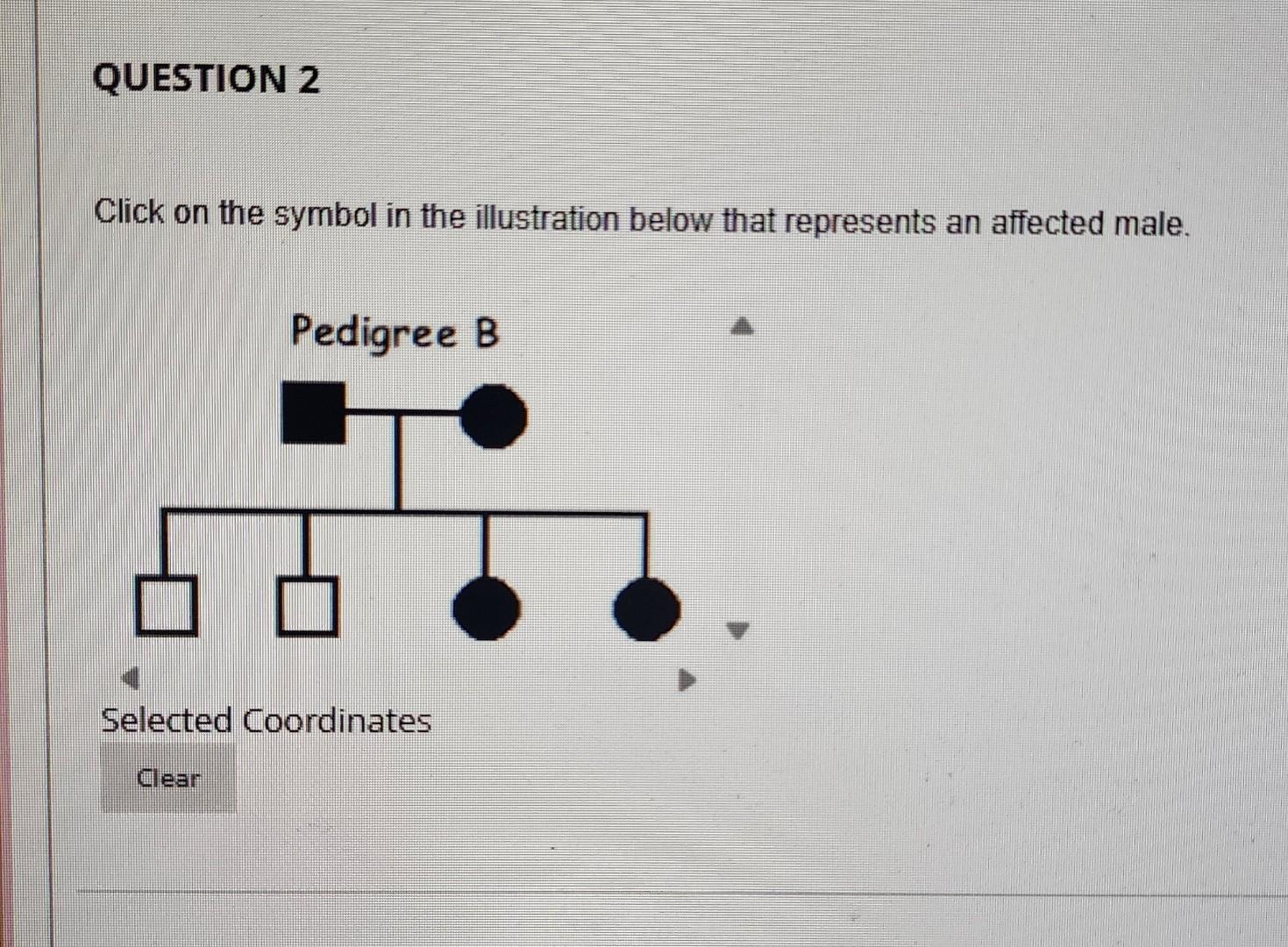 Solved Click on the symbol in the illustration below that | Chegg.com