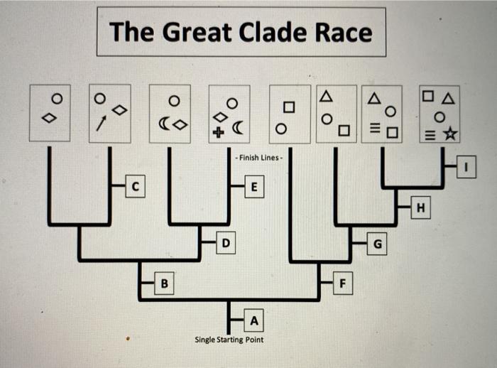 Solved Great Clade Race as Analogy of Biological Evolution | Chegg.com