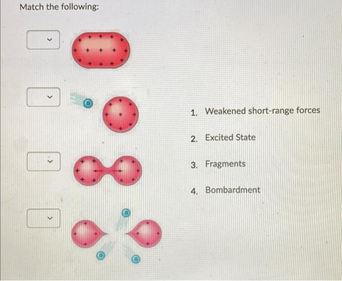 Solved Match the following: n 1. Weakened short-range forces | Chegg.com