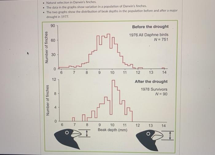 Natural selection in Darwin's finches, • The data | Chegg.com