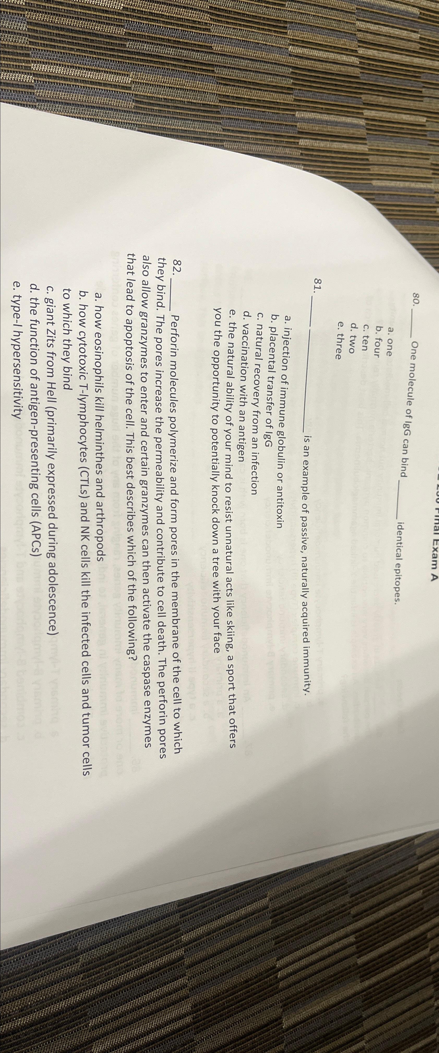 One molecule of IgG can bindExam A80 ﻿One molecule of | Chegg.com