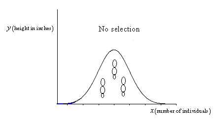Solved: Chapter 19 Problem 12TYU Solution | Bundle: Biology, 11th ...