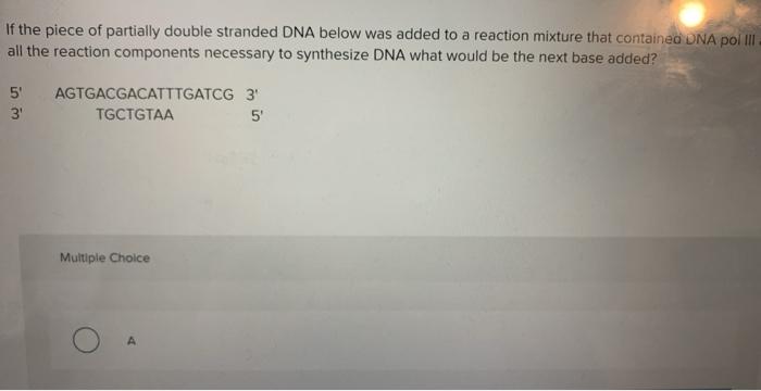 Solved If the piece of partially double stranded DNA below | Chegg.com