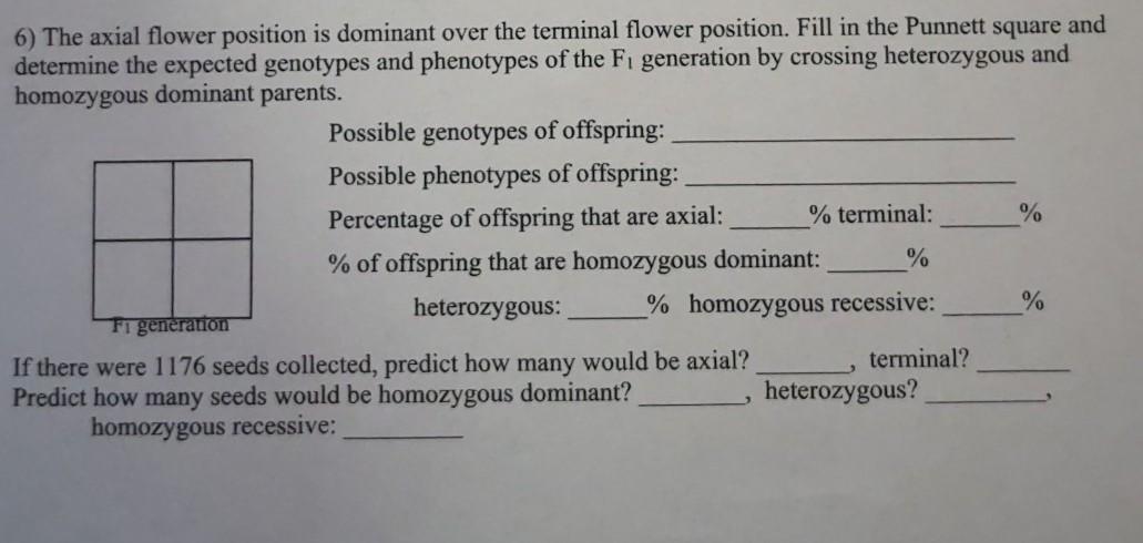 Solved 6) The axial flower position is dominant over the | Chegg.com