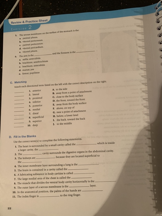 Solved Review & Practice Sheet Exercise 2 4. Label the | Chegg.com