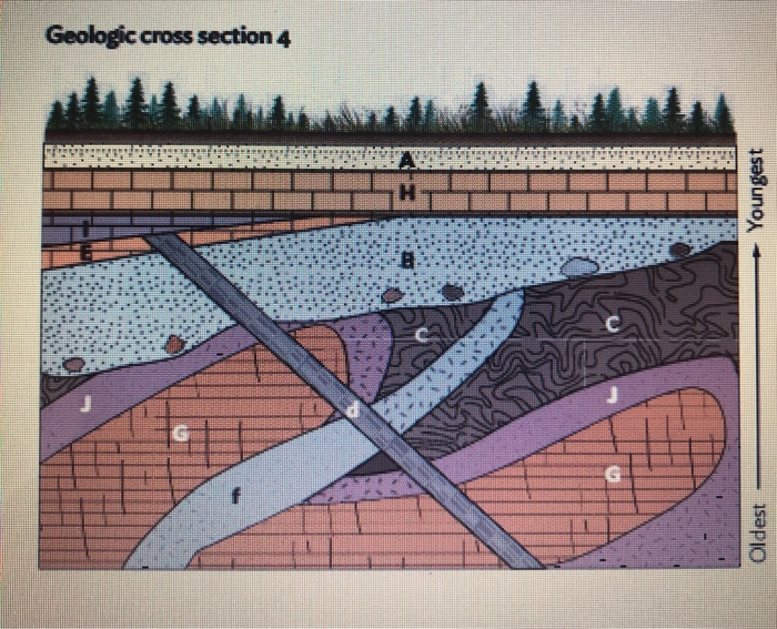 Solved ©) in geologic cross section 4 of Exercise 125, Unit | Chegg.com