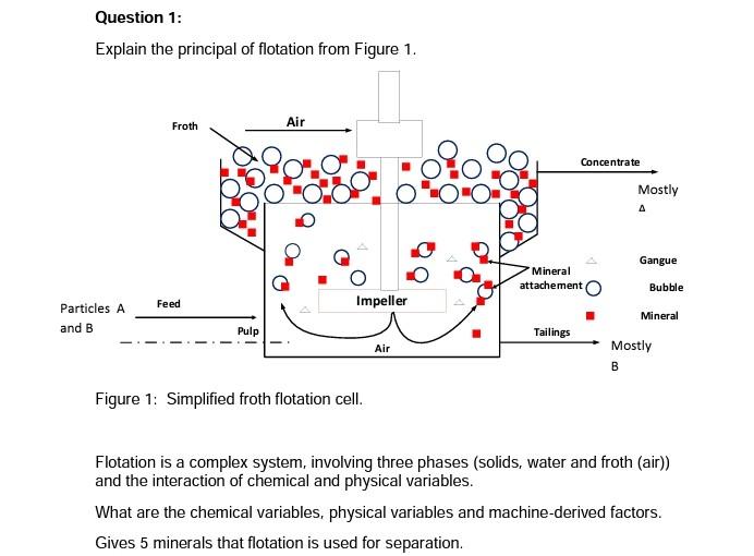 Solved Question 1: Explain the principal of flotation from | Chegg.com