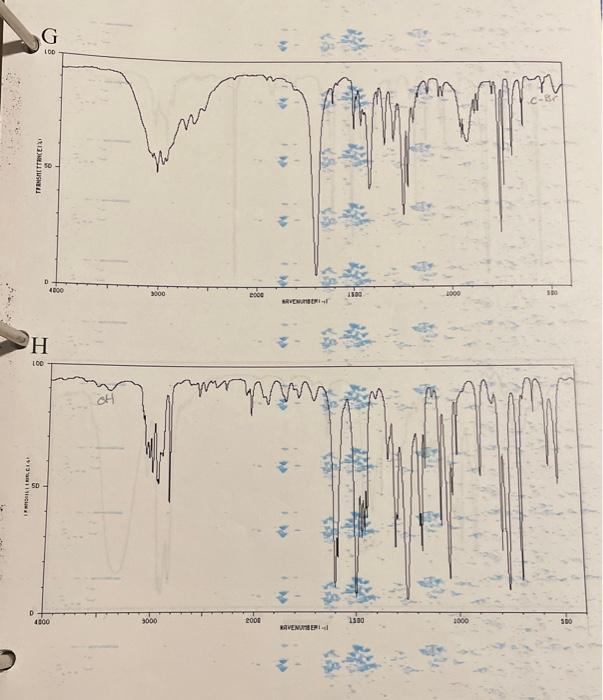 Solved IR Assignment 2 Instructions: Draw the structure of | Chegg.com
