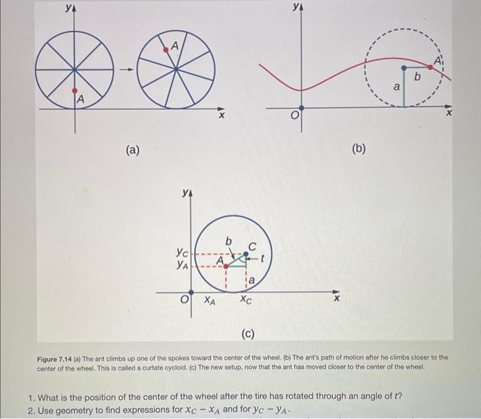 Solved Travels with My Ant: The Curtate and Prolate Cycloids | Chegg.com