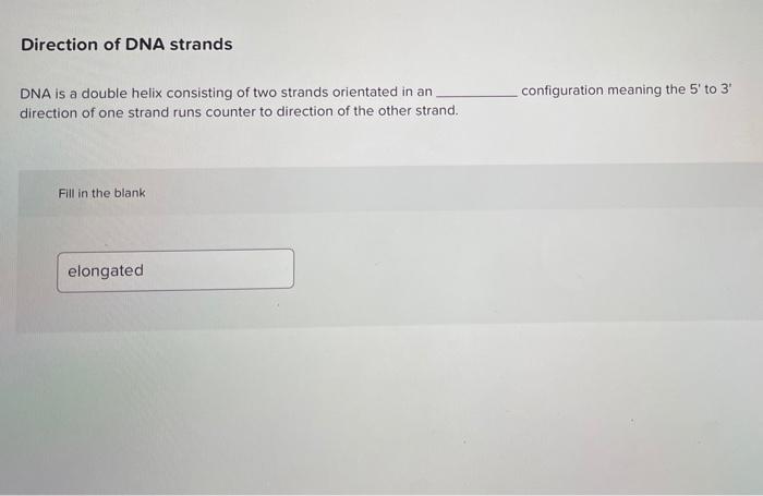 Solved Direction of DNA strands configuration meaning the 5' | Chegg.com