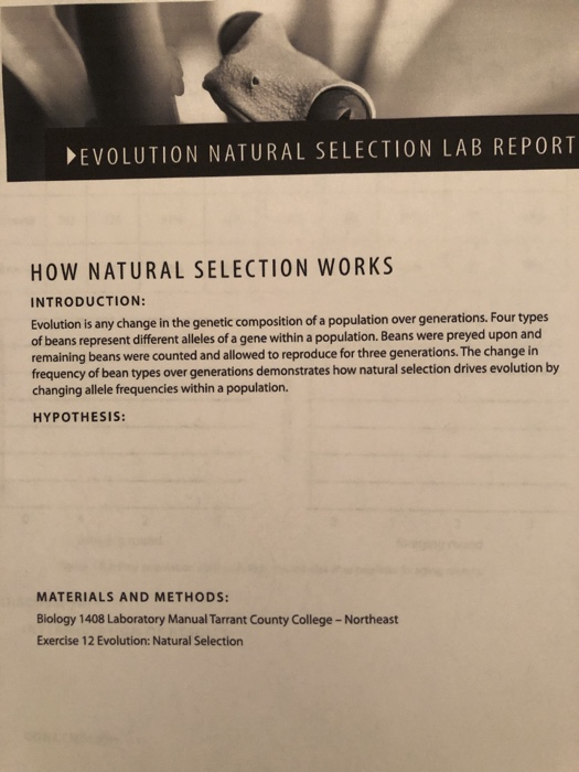 Solved EVOLUTION NATURAL SELECTION LAB REPORT HOW NATURAL | Chegg.com