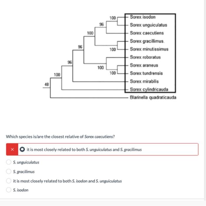 Solved One question multiple parts please answer part ABC. | Chegg.com