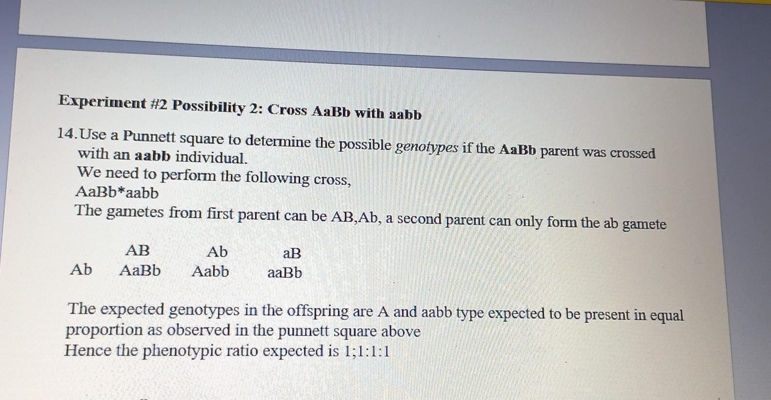 Solved Experiment #2 Possibility 2: Cross AaBb with aabb 14. | Chegg.com
