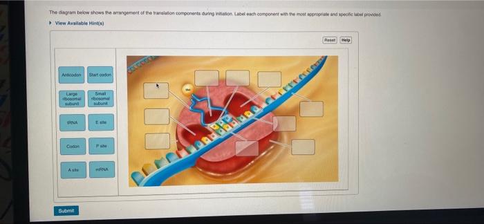 Solved The diagram below shows the arrangement of the | Chegg.com