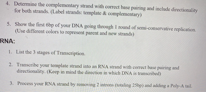 Solved 4. Determine the complementary strand with correct | Chegg.com