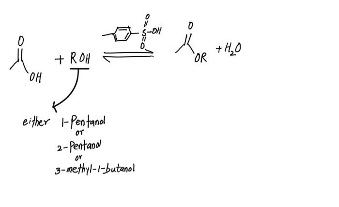 Solved please use IR and H-NMR of starting material C and IR | Chegg.com Solved please use IR and H-NMR of starting material C and IR | Chegg.com