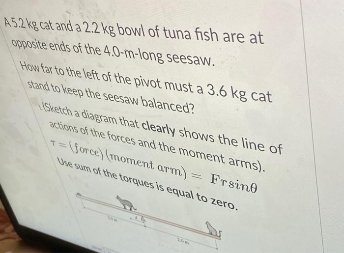 Solved A5.2 kg cat and a 22 kg bowl of tuna fish are at | Chegg.com