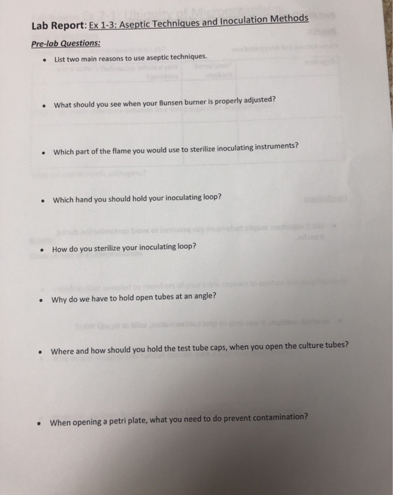 Solved Lab Report: Ex 1-3: Aseptic Techniques and | Chegg.com