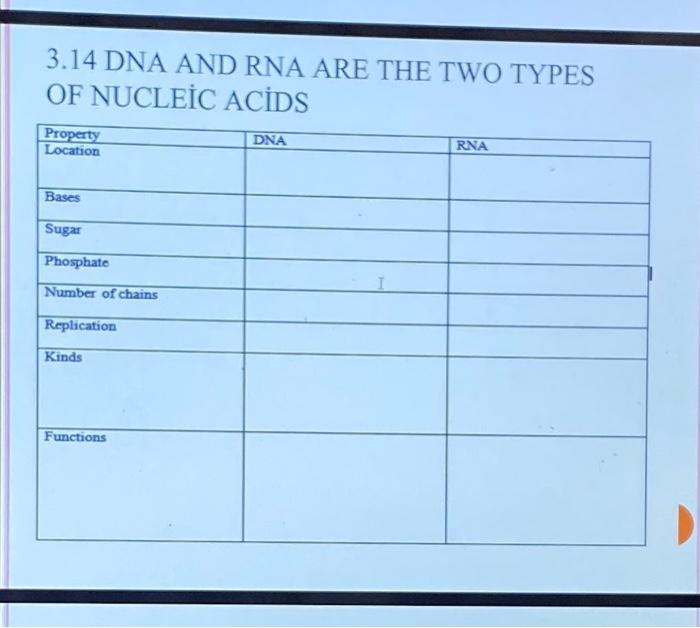 Solved 3.14 DNA AND RNA ARE THE TWO TYPES OF NUCLEİC ACIDS | Chegg.com