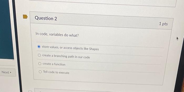 Solved In Code Variables Do What Store Values Or Access 7604