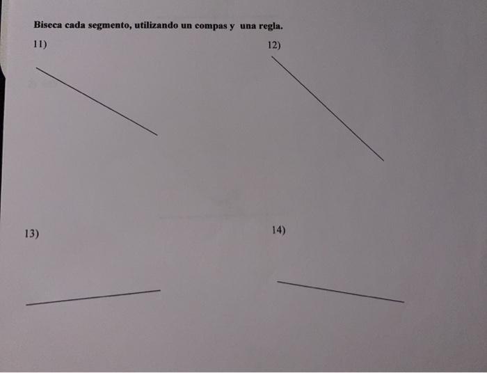 Solved Biseca cada segmento, utilizando un compas y una | Chegg.com