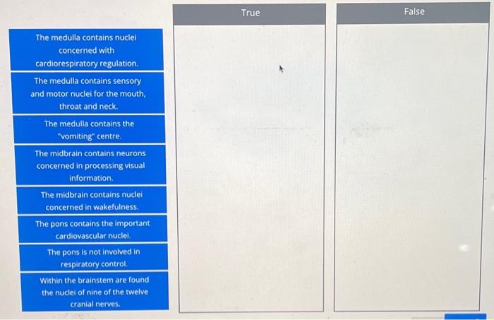 Solved Categorize the following statements regarding the | Chegg.com Solved Categorize the following statements regarding the | Chegg.com