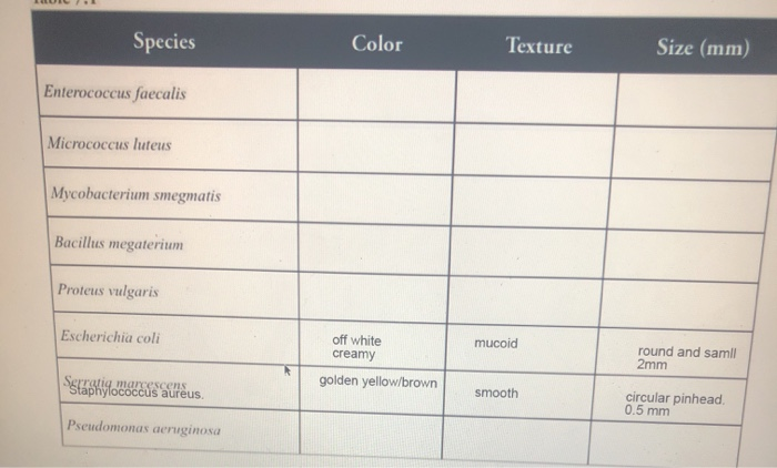 Solved Species Color Texture Size (mm) Enterococcus faecalis | Chegg.com