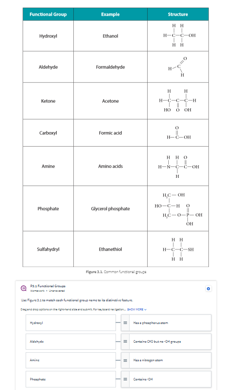 Solved Homework - ﻿UnansweredUse Figure 3.1 ﻿to match each | Chegg.com