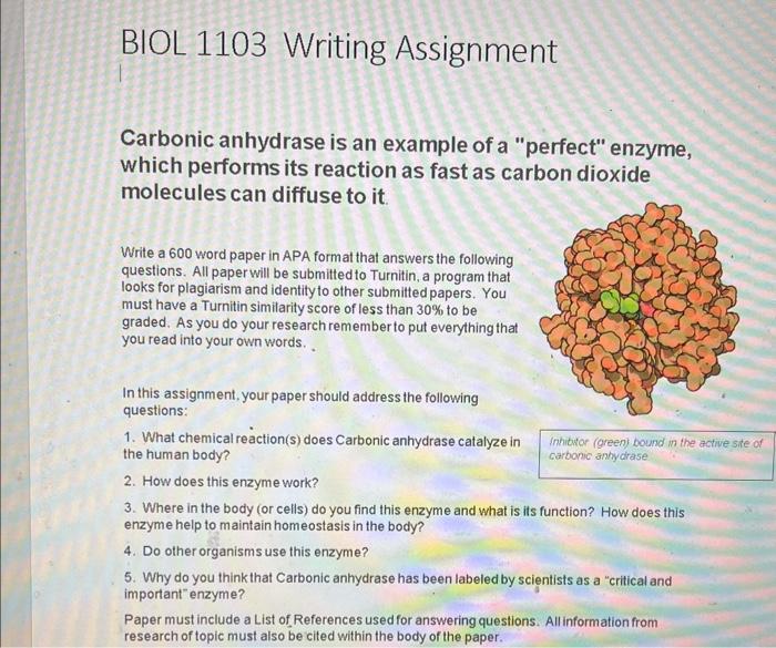 Solved BIOL 1103 Writing Assignment Carbonic anhydrase is an | Chegg.com