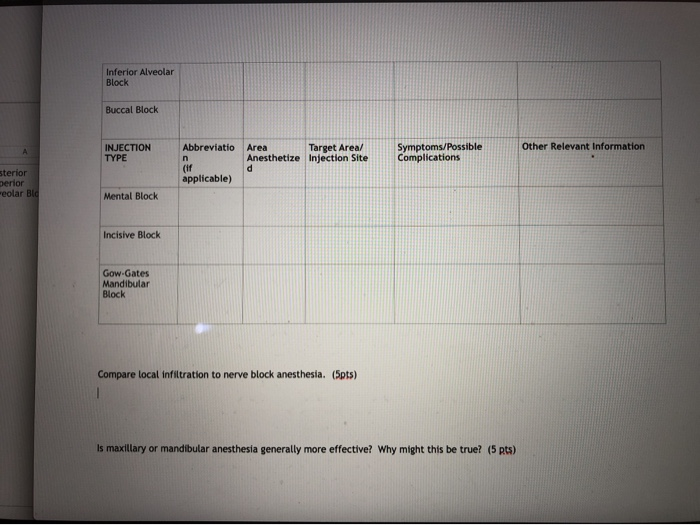 Zoom Chapter 9: Anatomy of Local Anesthesia Worksheet | Chegg.com