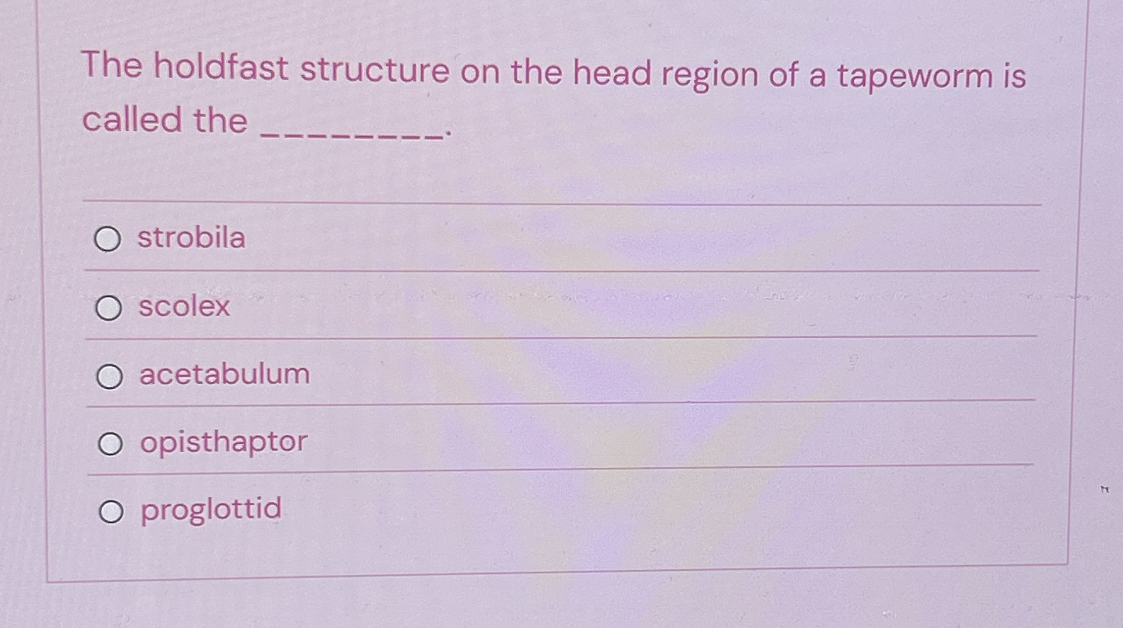 Solved The holdfast structure on the head region of a | Chegg.com